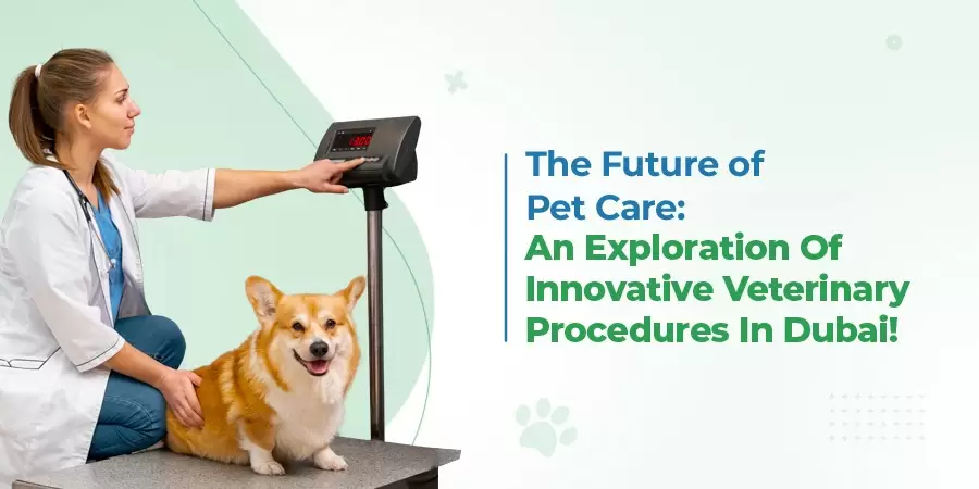 The Future of Pet Care: An exploration of innovative veterinary ...